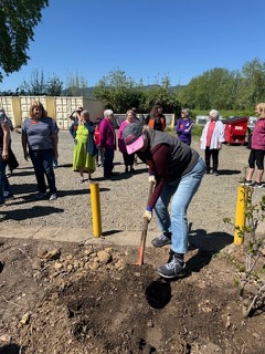 Legacy Tree Planting and Lunch – Jackson County Master Gardener Association