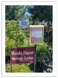 The Wanda Hauser Garden – Jackson County Master Gardener Association